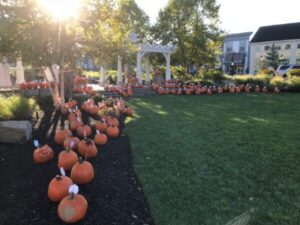 Pre-K-5th Grade Pumpkin Patch – Hudson Parent Teacher Organization